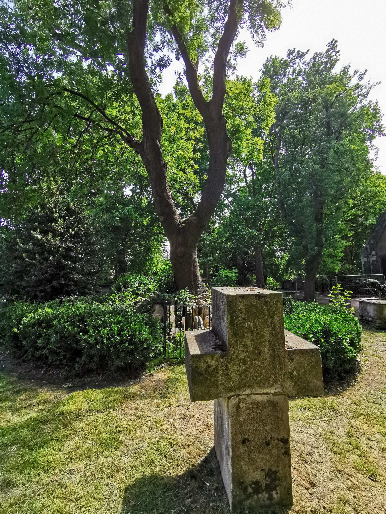 The Hardy Tree, London – THE BLOG OF TRAVEL